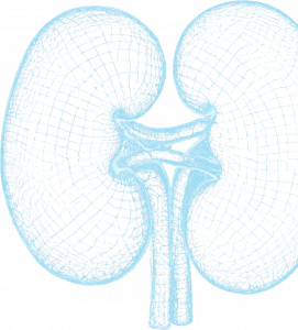 Fiches AFU | Centre Urologique St Joseph | Urologues | 49000